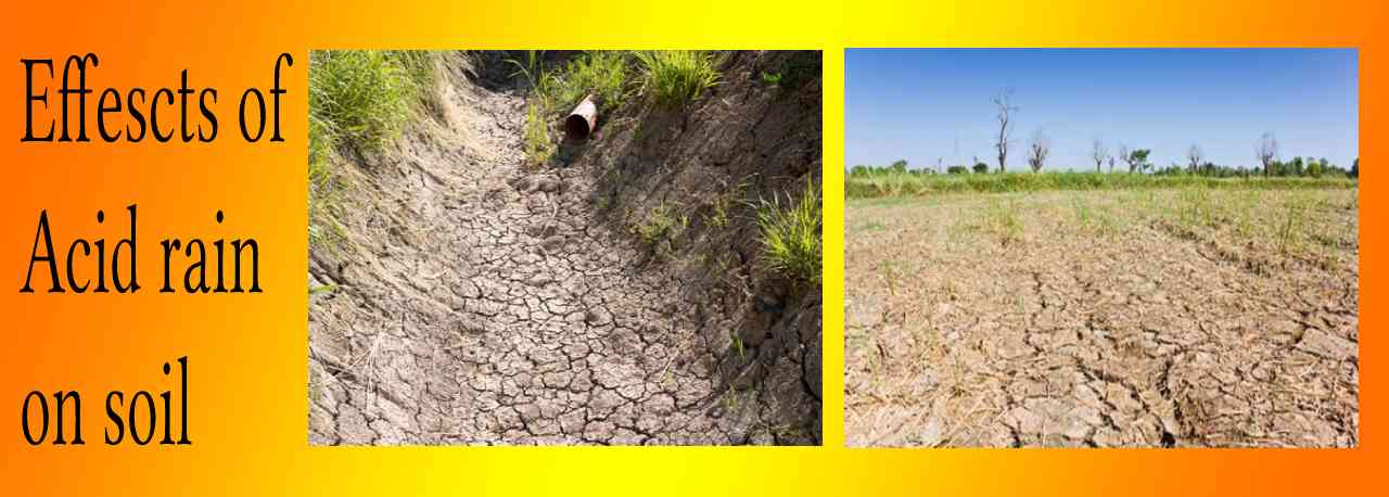 Acid rain, Definition, Causes, Sources, Formulas, Effects and controls ...